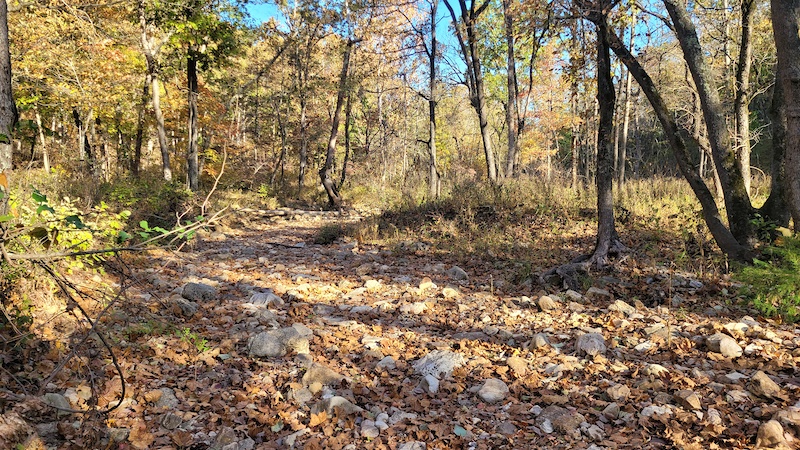 Spring Creek Gap Conservation Area Trail Hiking Trail - Rolla, MO