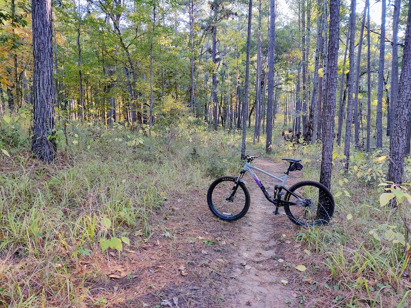 Mission Tejas State Park, Weches Mountain Biking Trails | Trailforks
