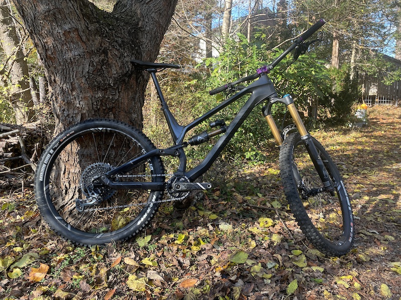 2021 Canyon Torque CF 9 For Sale