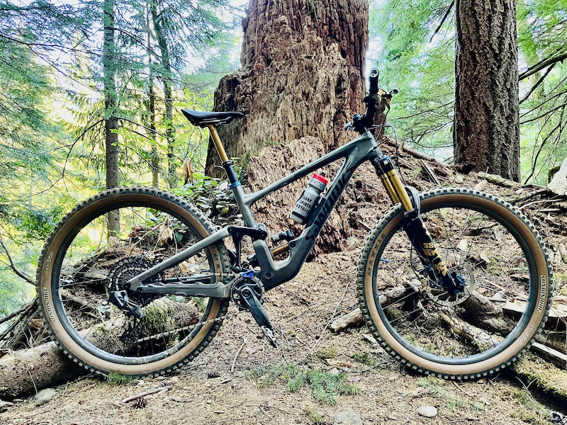 2022 Specialized Enduro S-Works Custom Build For Sale