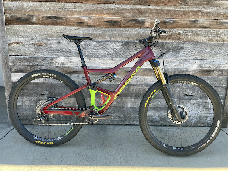 2021 Custom Orbea Occam For Sale