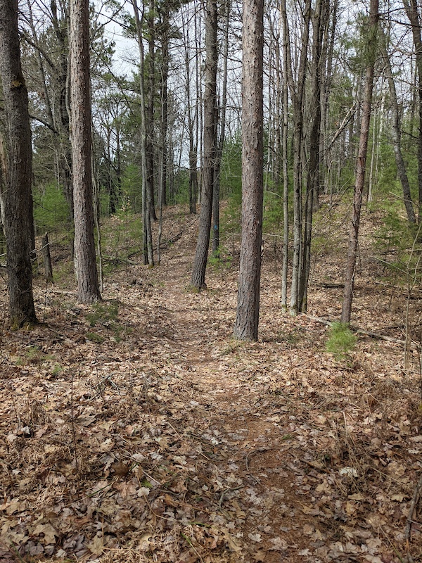 High Country Pathway - To East Sturgeon Valley Road Mountain Biking ...