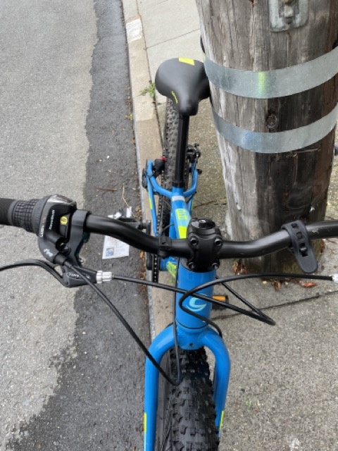 2019 Cannondale Cujo 20+ For Sale