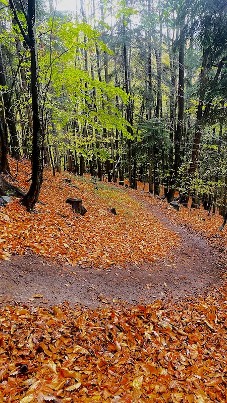 Nov 06, 2022 Gaj-Log Trail Report | Trailforks