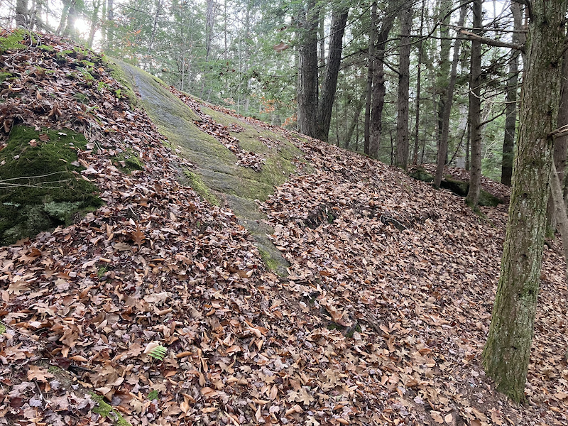 Nature Walk Lake Loop (Intermediate) Mountain Biking Route | Trailforks