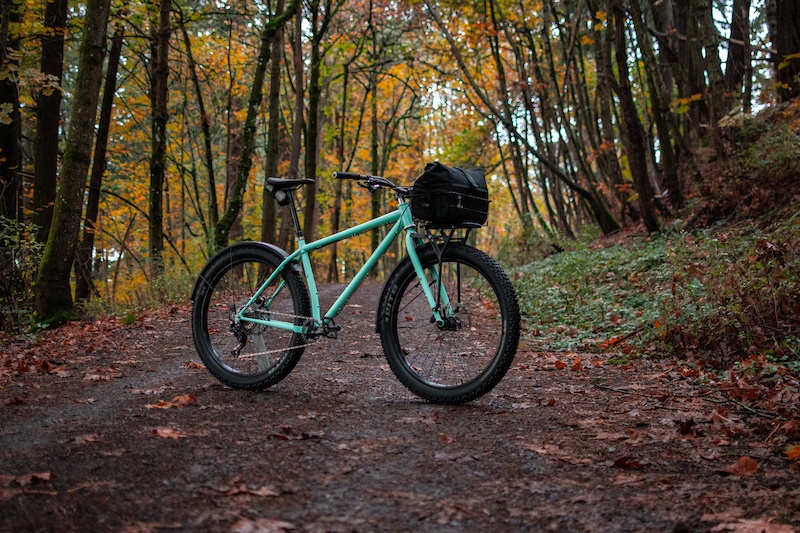 2018 Surly Karate Monkey — Large For Sale