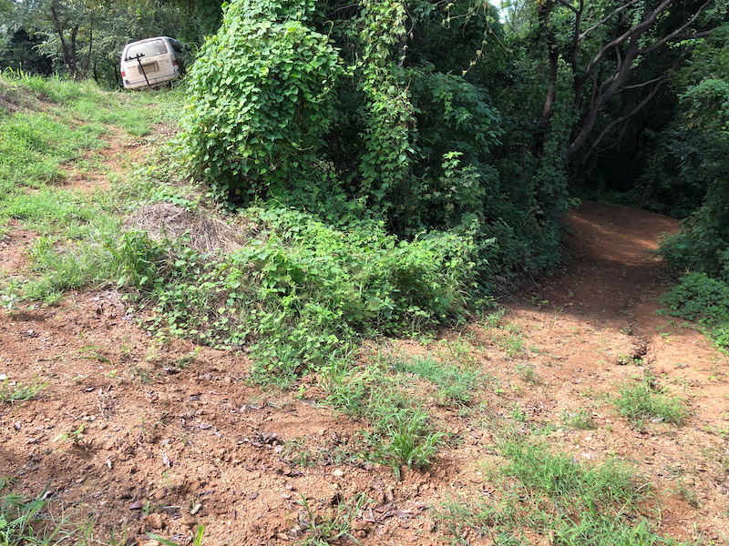 Forest Serenity Mountain Biking Trail - Tola