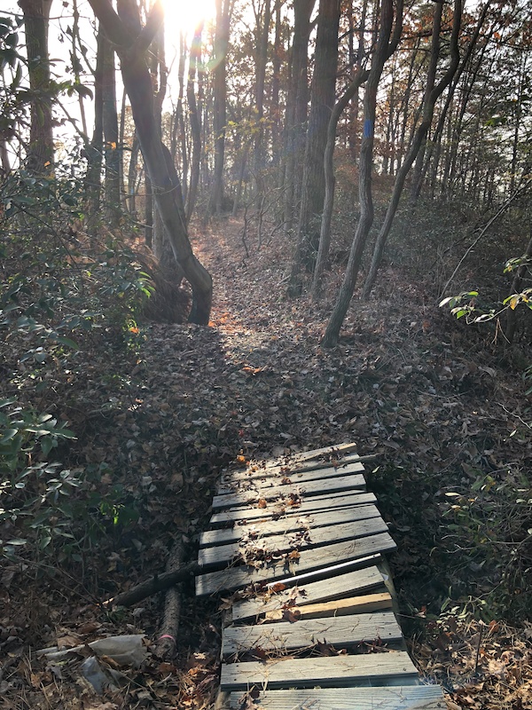 Mason-Dixon Trail: North East Section Multi Trail - - Maryland