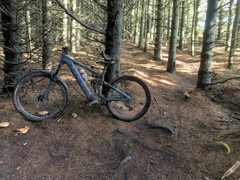 2021 VITUS E-SOMMET VRS large frame For Sale