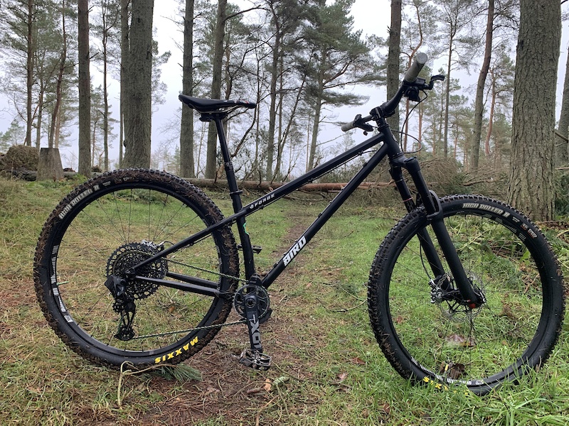 2021 Bird Forge steel Hardtail Medium Huge Spec, axs, xo1 For Sale