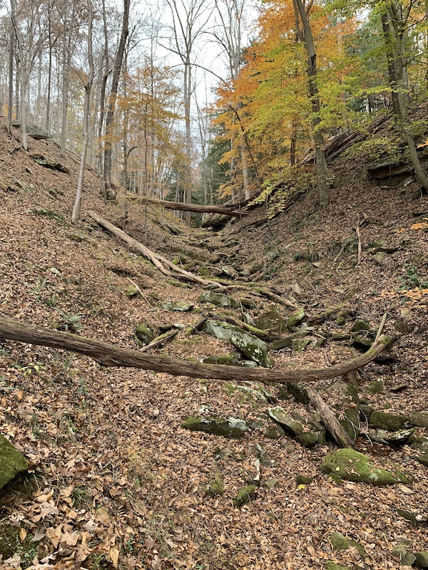 Overhanging Rock Trail Hiking Trail - Harrisville, WV
