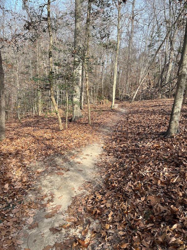 10 Mile Bike Ride Mountain Biking Route | Trailforks