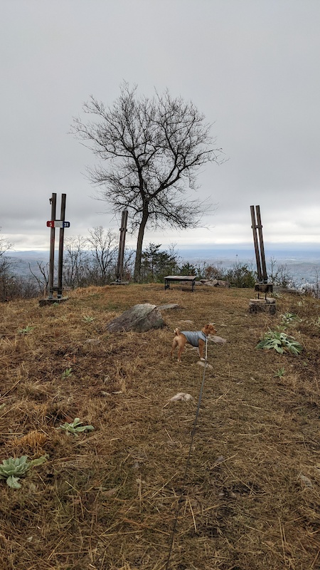 Buzzards Roost Summit Trail Multi Trail - Dalton, Georgia