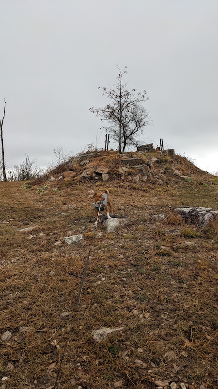 Buzzards Roost Summit Trail Multi Trail - Dalton, Georgia