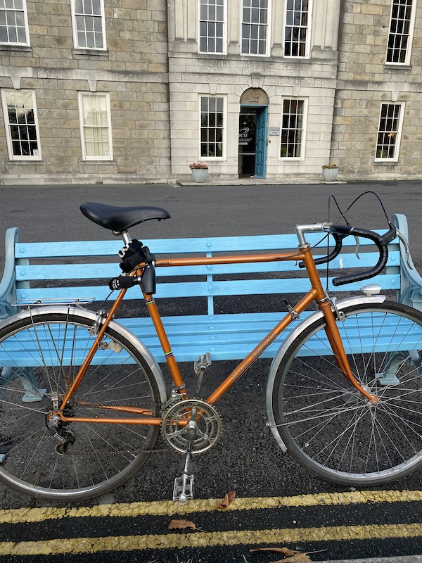 Bike For Sale, Jacques Antequil For Sale