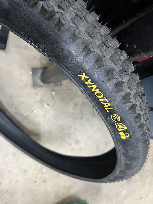 2022 LIKE NEW Continental Xynotal Soft/Enduro 29x2.4 For Sale