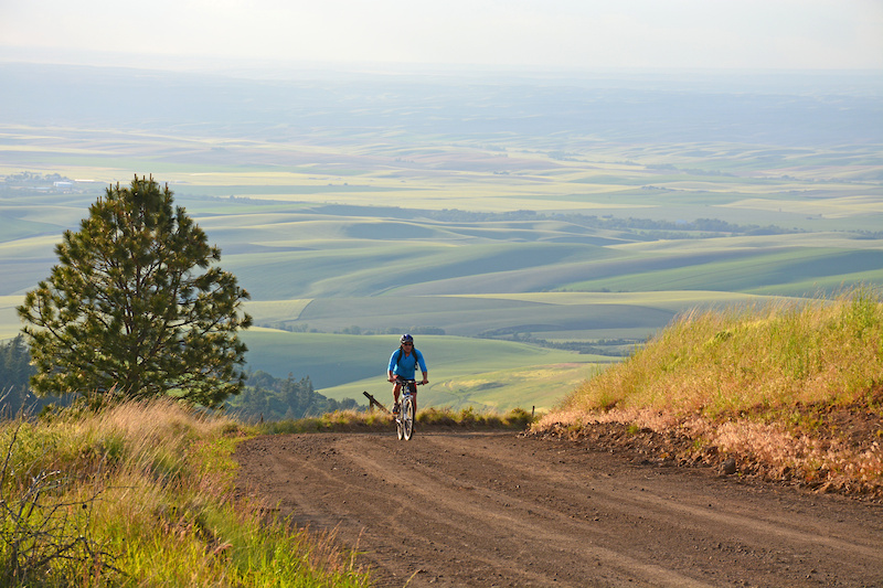Mormon Grade Multi Trail - Walla Walla, Washington