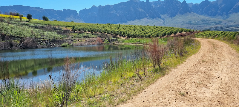 Rola Coaster - Chequered Flag Mountain Biking Trail - Somerset West