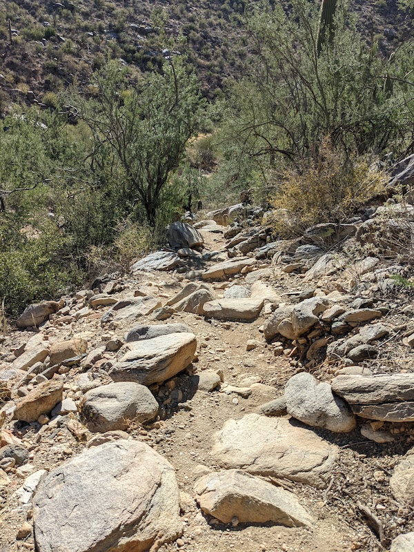 Wild Burro Multi Trail - Marana, Arizona | Trailforks