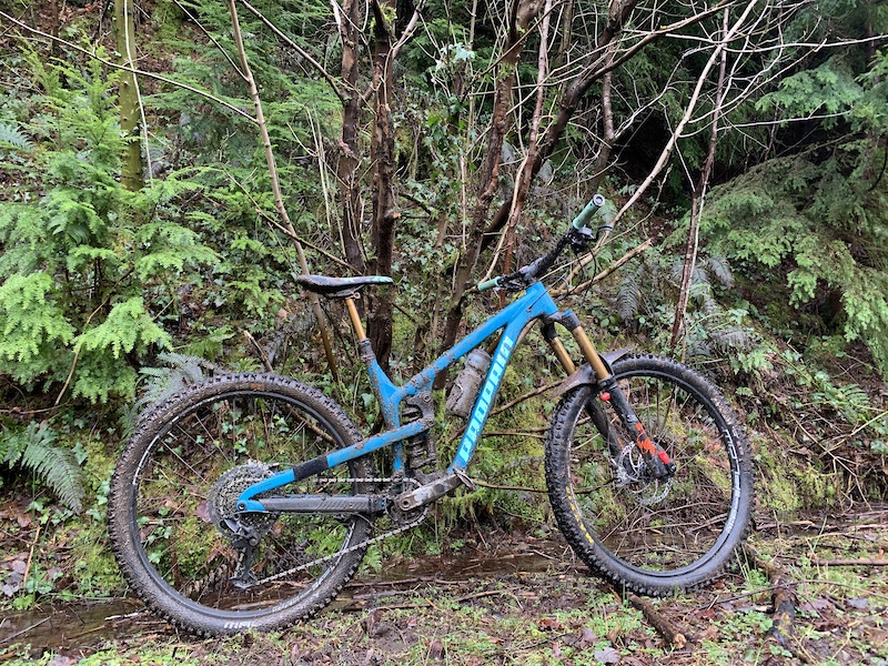 2021 propain tyee 29er For Sale