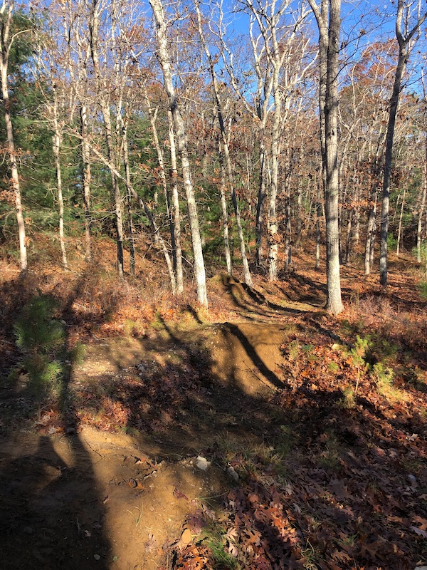 Maple Swamp Conservation Area Mountain Biking Trails | Trailforks