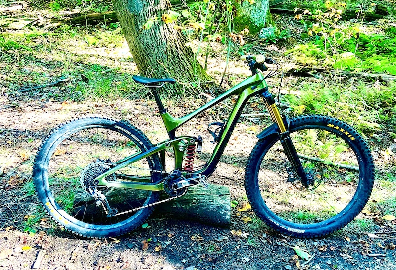 2021 Giant Reign 29 Custom Build For Sale