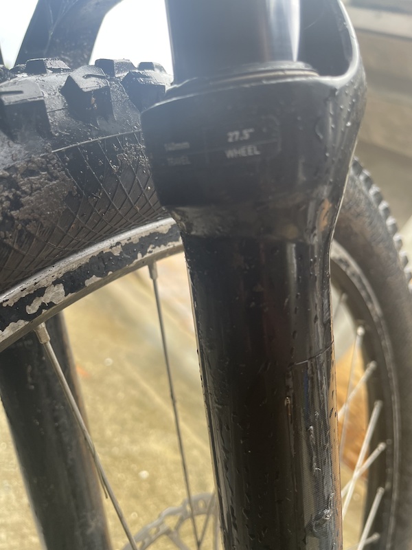 2020 Polygon Trid zz For Sale