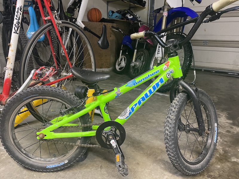 2016 Spawn Banshee For Sale