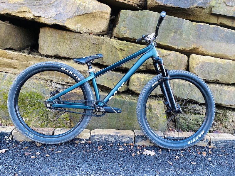 2020 Rose The Bruce 2 - medium For Sale