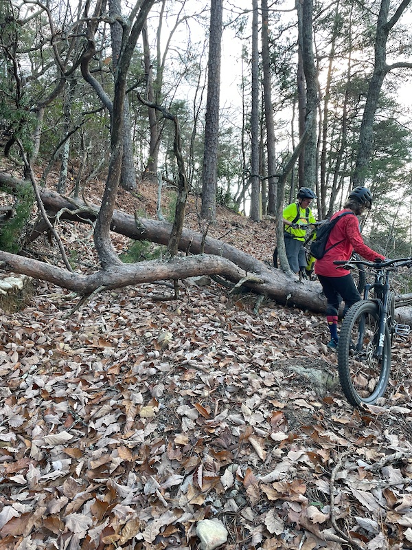 Laurel Loop Multi Trail - Chelsea, Alabama | Trailforks