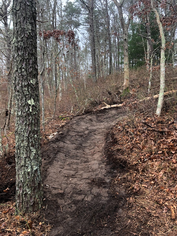 Maple Swamp Conservation Area Mountain Biking Trails | Trailforks