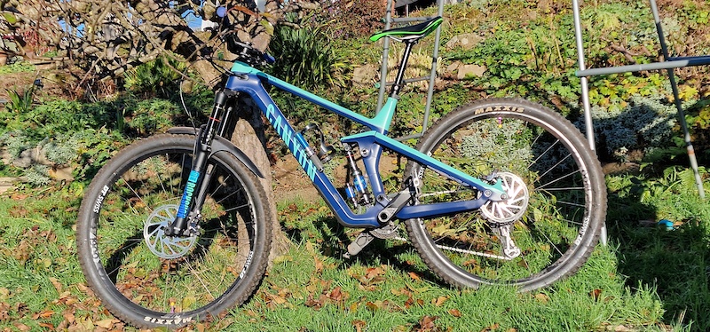 2019 Mint condition Canyon Strive For Sale