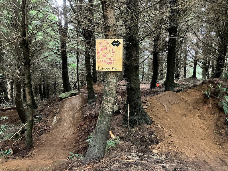 Miss Piggy's Pudding Pit Mountain Biking Trail - Dunedin