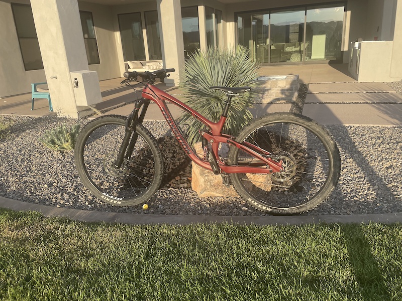 2020 Transition carbon sentinel, Medium, Pinot Noir color For Sale