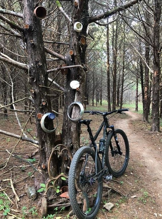 Chandler Way Loop Mountain Biking Trail - Springfield
