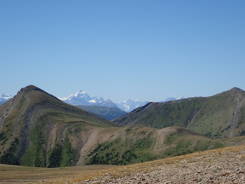 Caw Ridge Multi Trail - Grande Cache, AB | Trailforks
