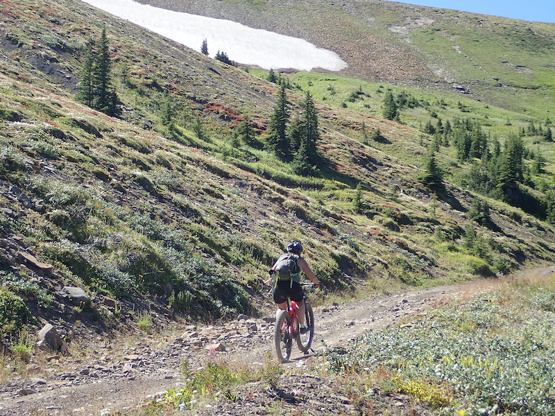 Caw Ridge Multi Trail - Grande Cache, AB | Trailforks