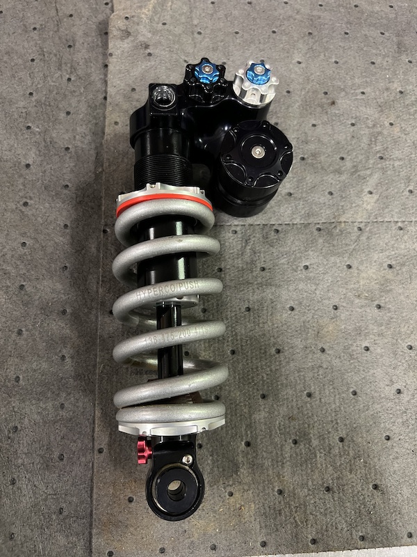 2021 Push elevensix evil offering For Sale