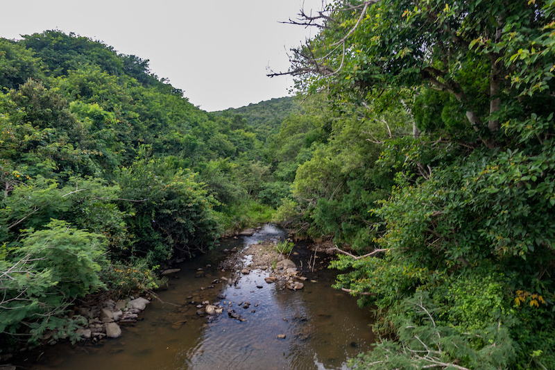 Two Rivers Mountain Biking Trail - | Trailforks