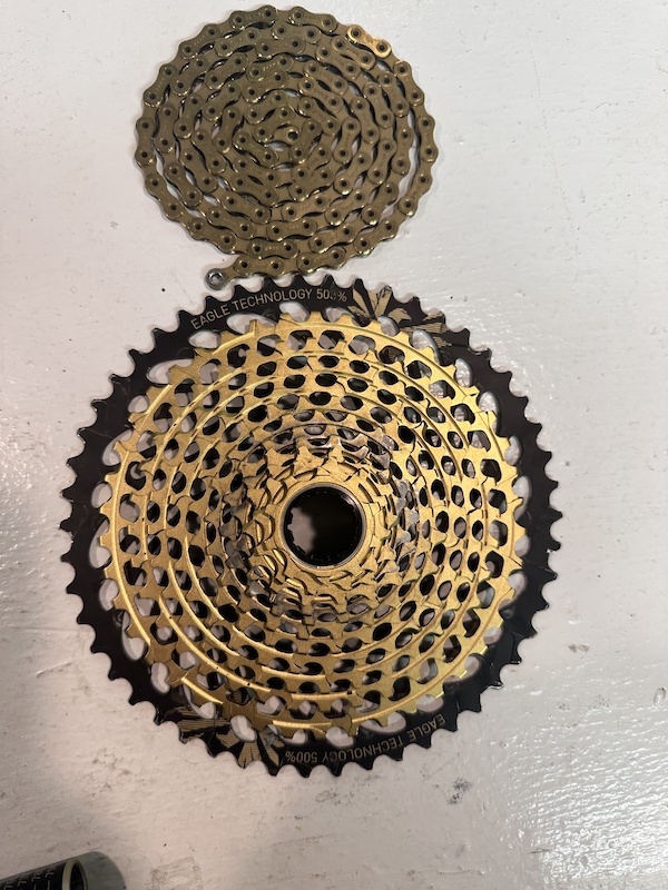 2020 SRAM XX1 XG 1299 10-50T incl gold XX1 chain For Sale