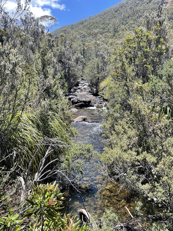 Lake Belcher Trail from Wombat Moor Hiking Trail