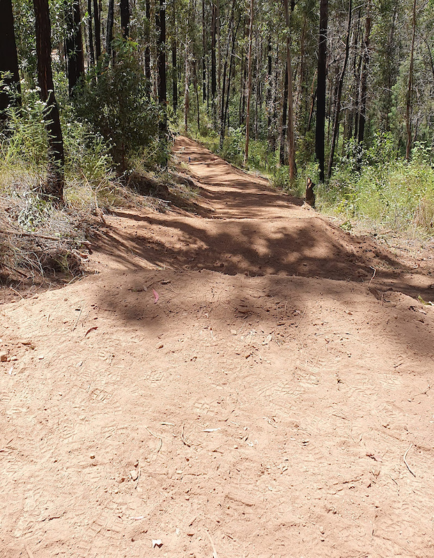 Triple Zero Mountain Biking Trail - Taree | Trailforks