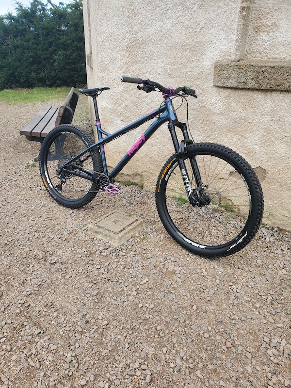 2022 custom build ragley mmmbop mullet hardtail PRICE DROP For Sale