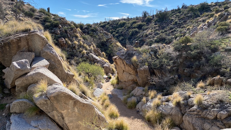 Blue Wash Trail Hiking Trail - Carefree, Arizona