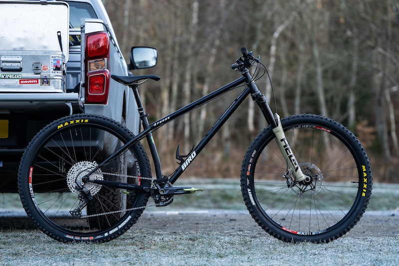 2021 Bird Forge Hardtail For Sale
