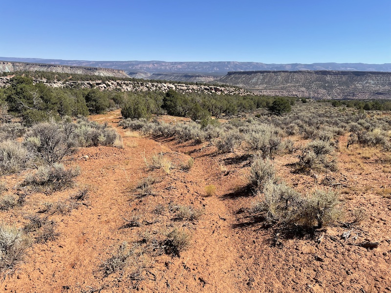 Beehive Canyon Loop Multi Trail - Uravan, Colorado