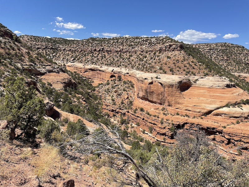 Beehive Canyon Loop Multi Trail - Uravan, Colorado