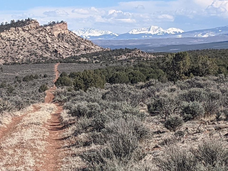 Baboon Basin Access Trail Multi Trail - Nucla, Colorado