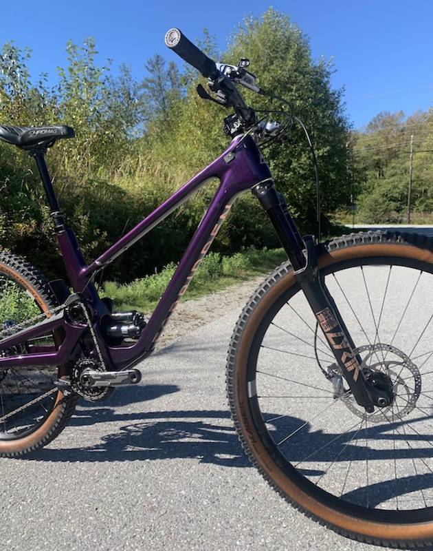 2022 Custom forbidden druid large For Sale