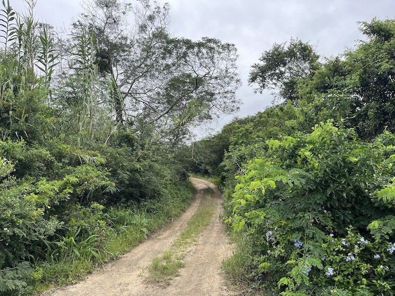 Two Rivers Mountain Biking Trail - | Trailforks